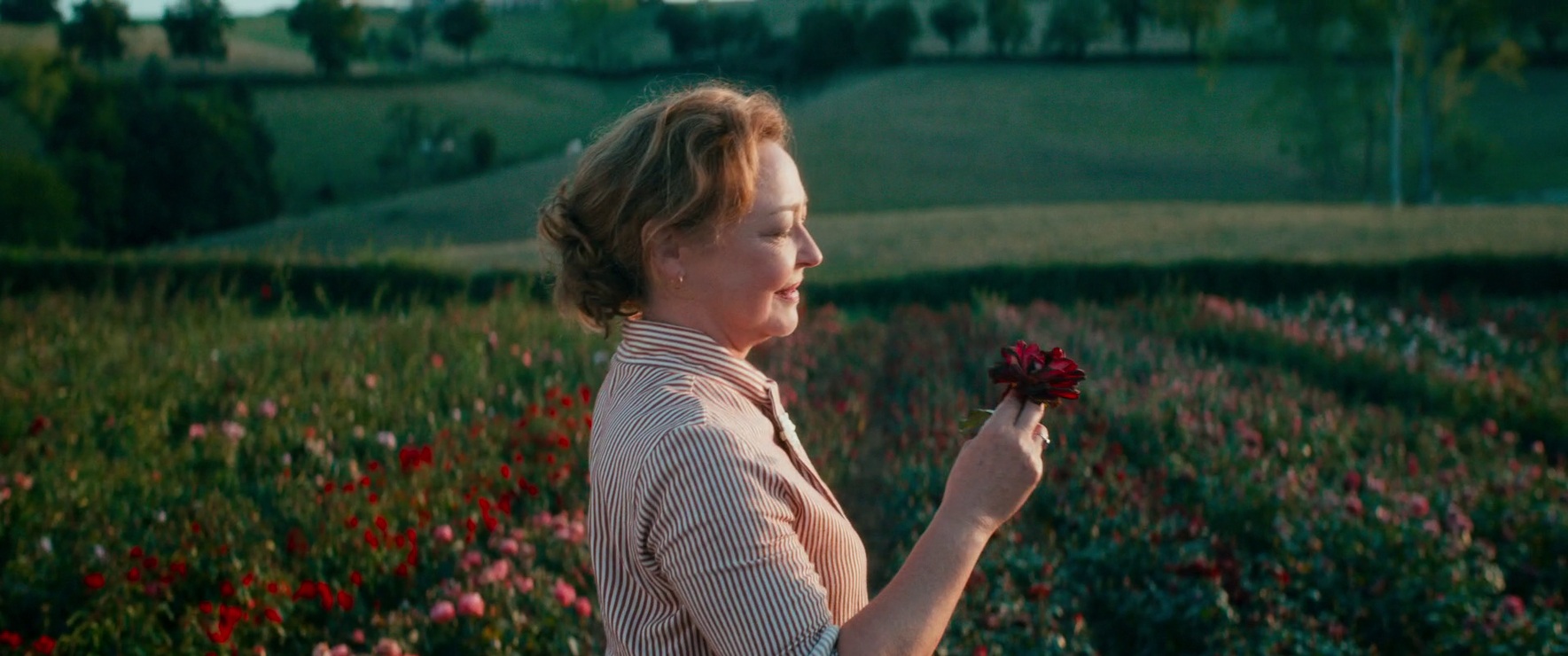 Picture of La fine fleur