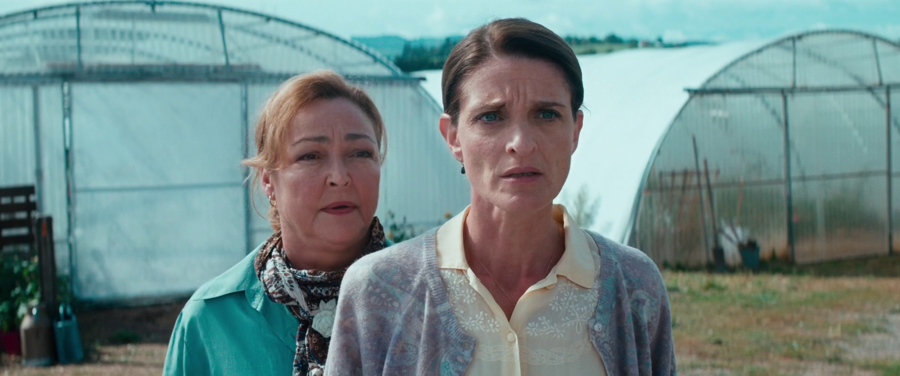 Picture of La fine fleur