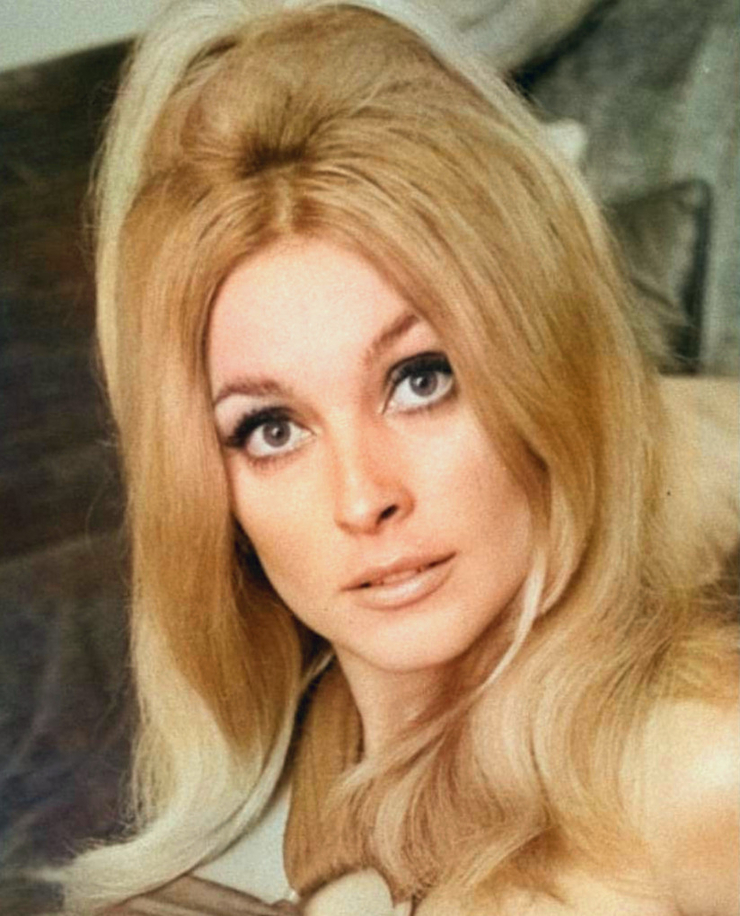 Picture of Sharon Tate