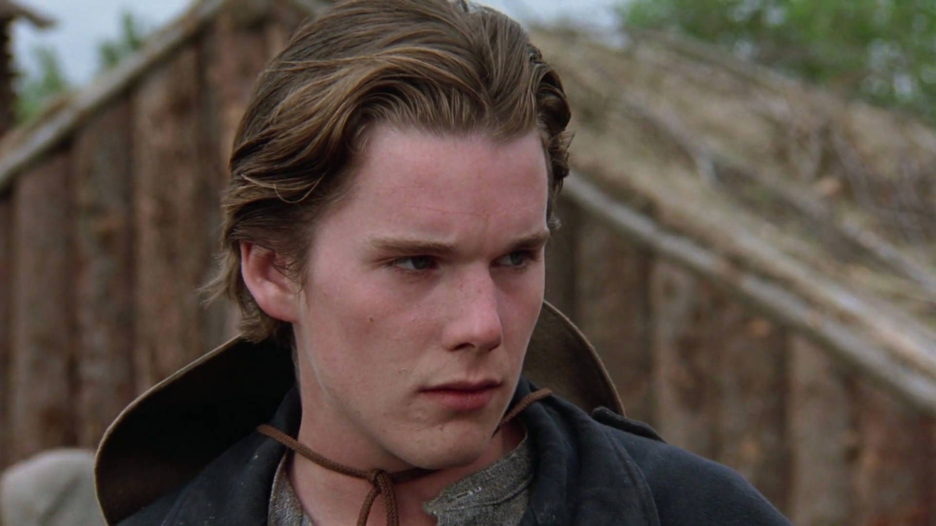 Picture of White Fang