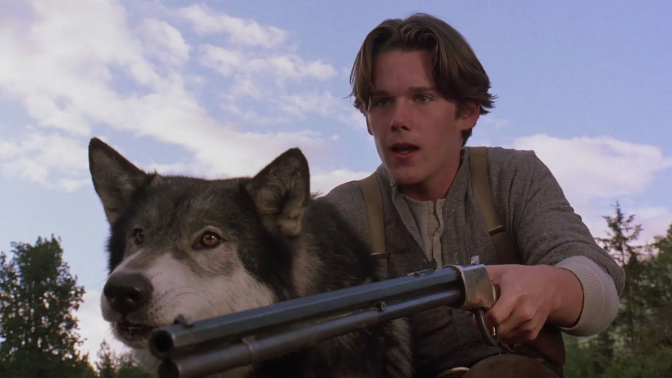 Picture of White Fang