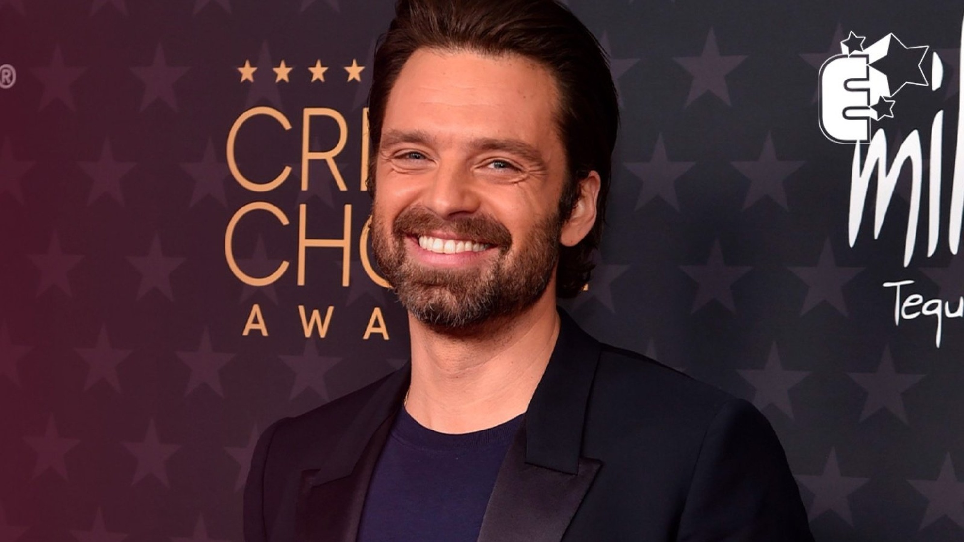 Picture of Sebastian Stan