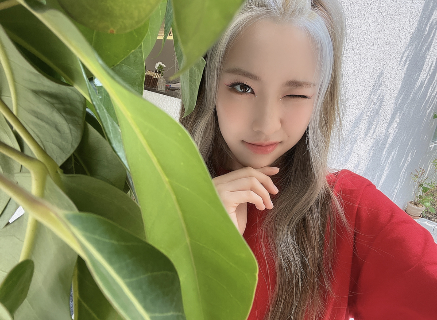 Picture of Kawachi Maya