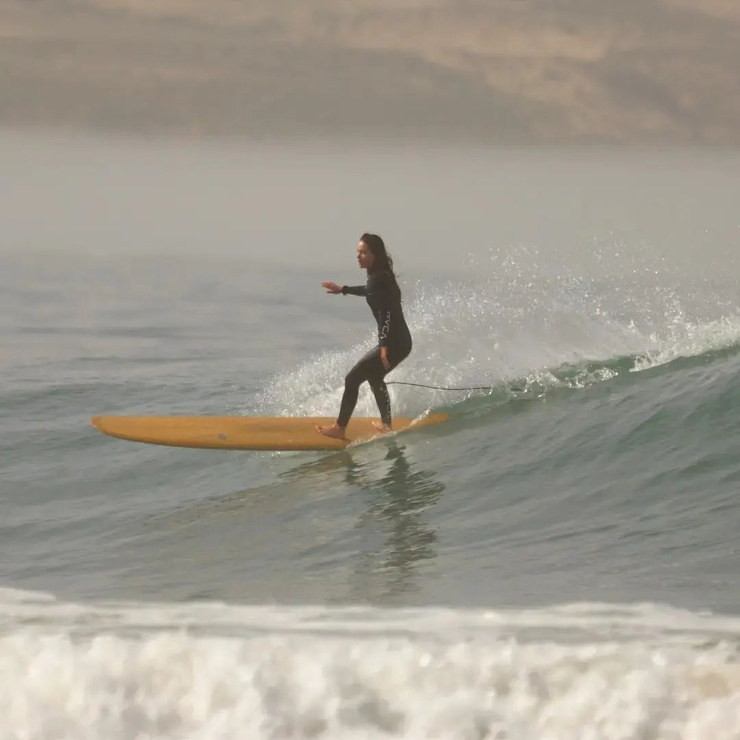 Picture of alice david