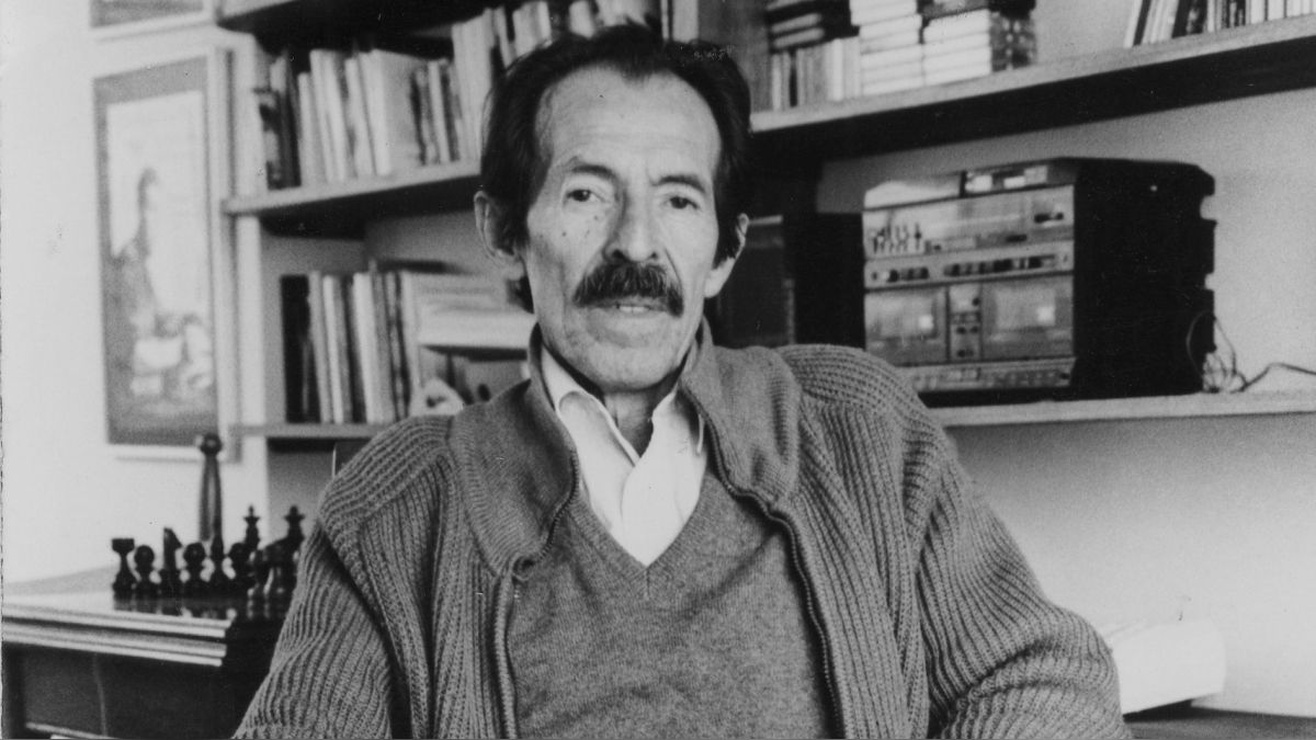 Julio Ramon Ribeyro image