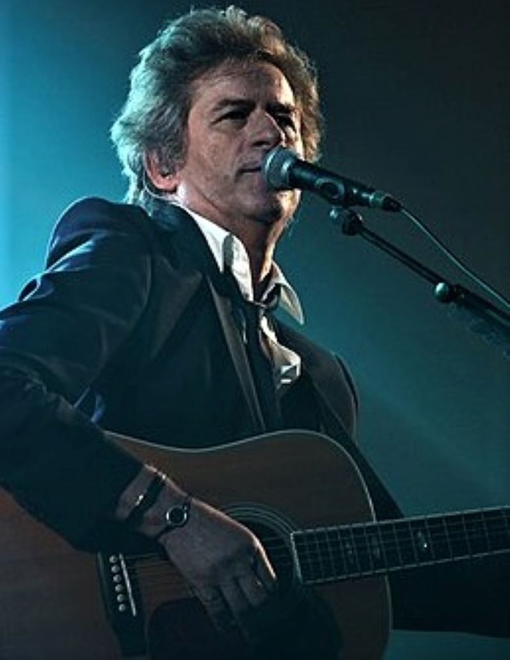 Hubert-Félix Thiéfaine