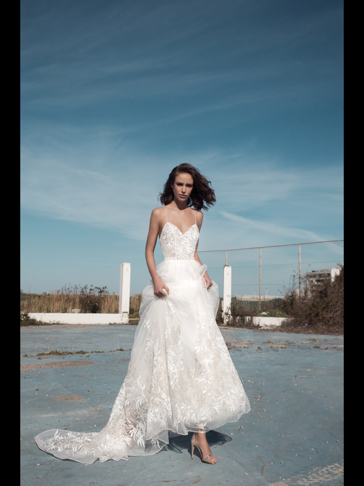 Picture of Neta Mark