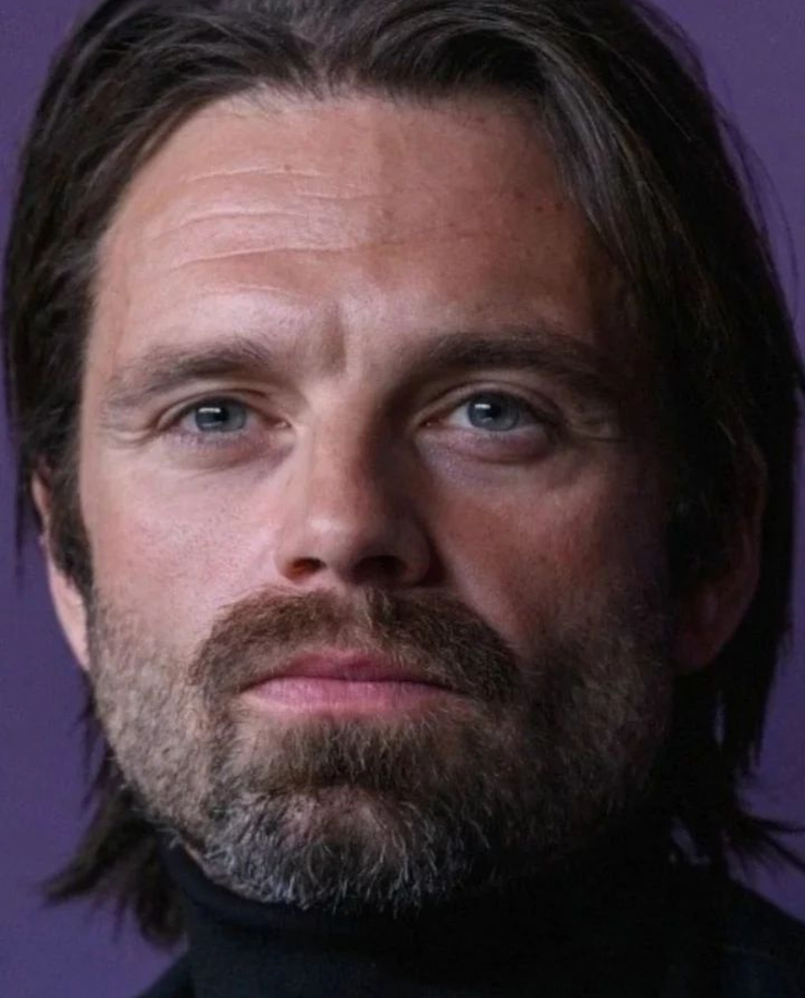 Sebastian Stan image