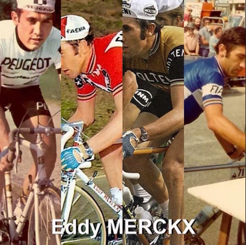 Eddy Merckx