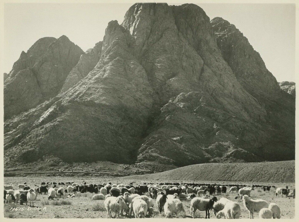 Picture of The Ten Commandments (1956)