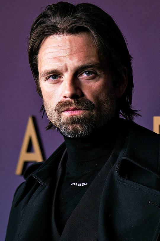 Picture of Sebastian Stan