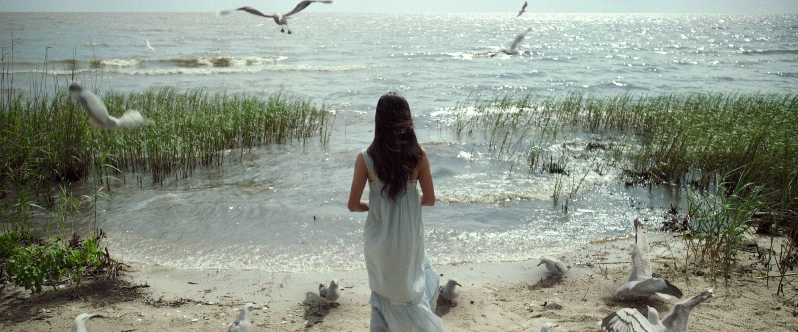 Where the Crawdads Sing