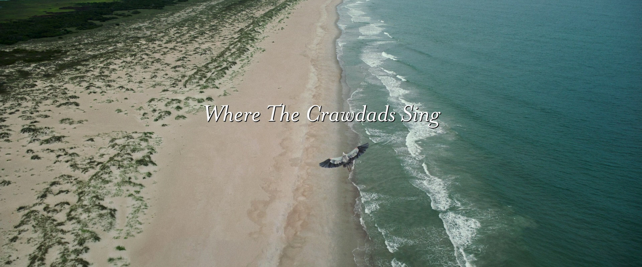 Where the Crawdads Sing