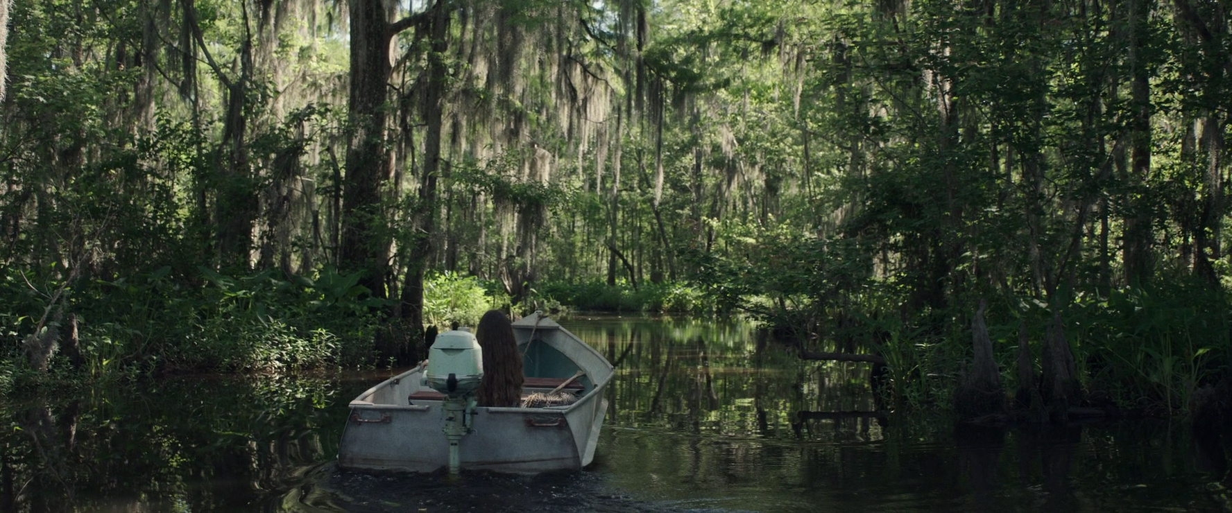 Where the Crawdads Sing