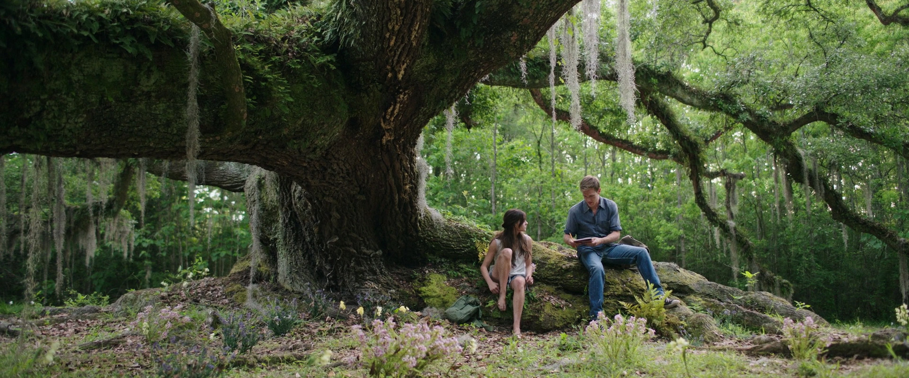 Where the Crawdads Sing