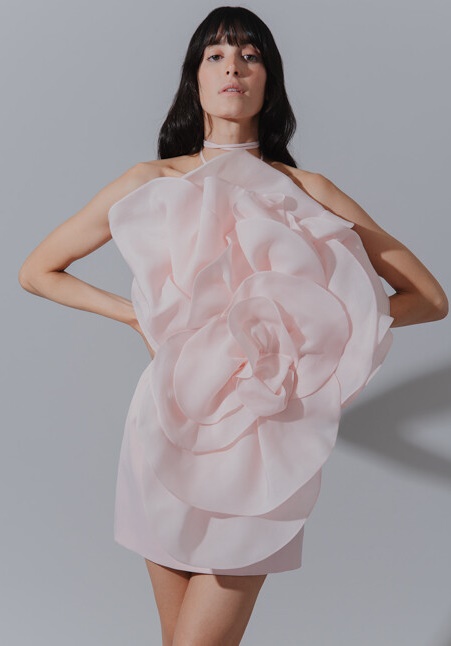 Picture of Tori Monet