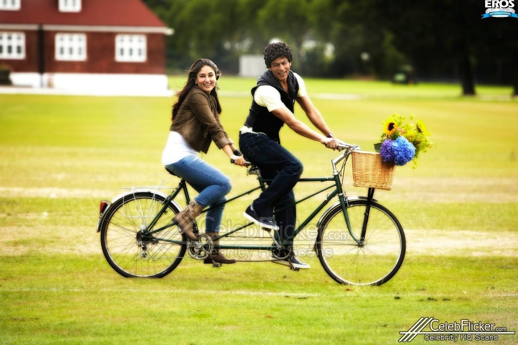 Picture of Ra.One