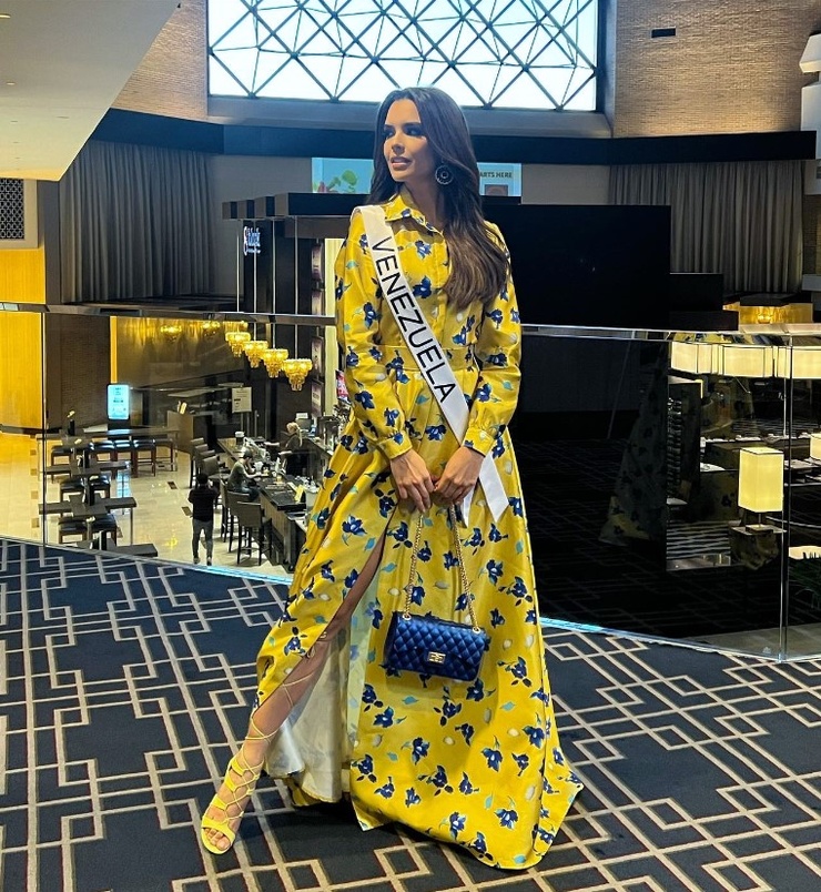 Amanda Dudamel picture