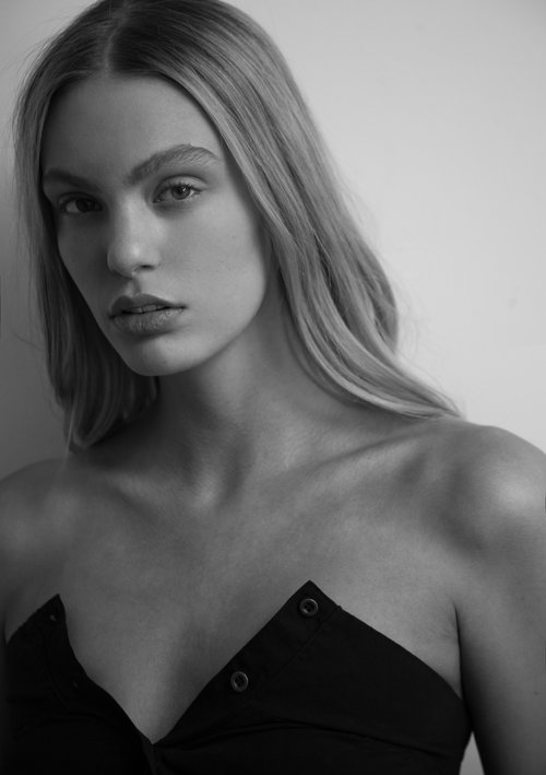 Picture of Avery Silver