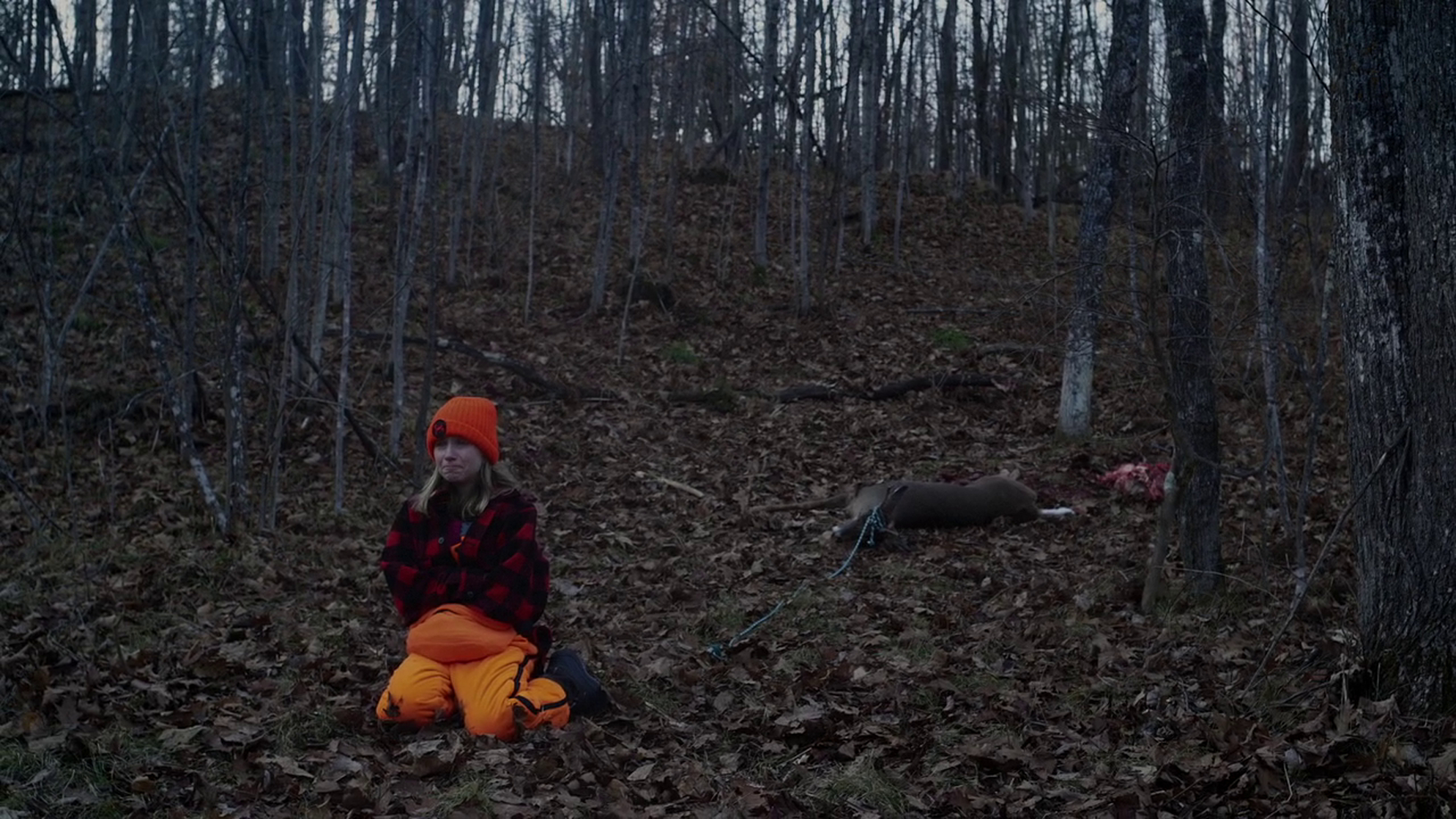 Picture of Cold November