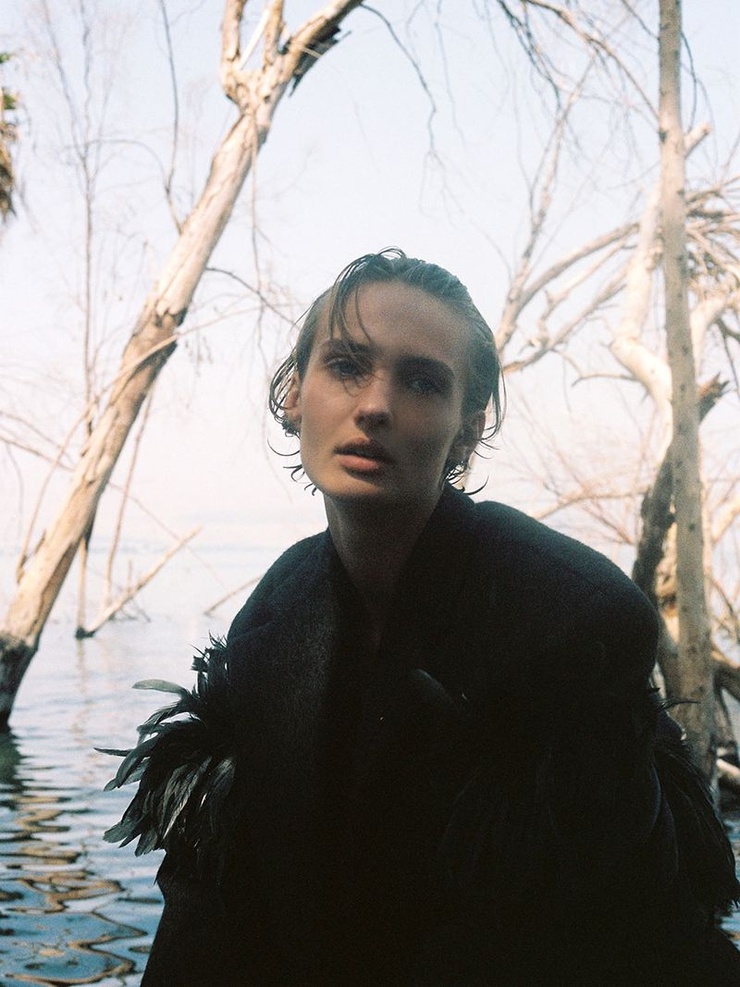 Picture of Roe Elema