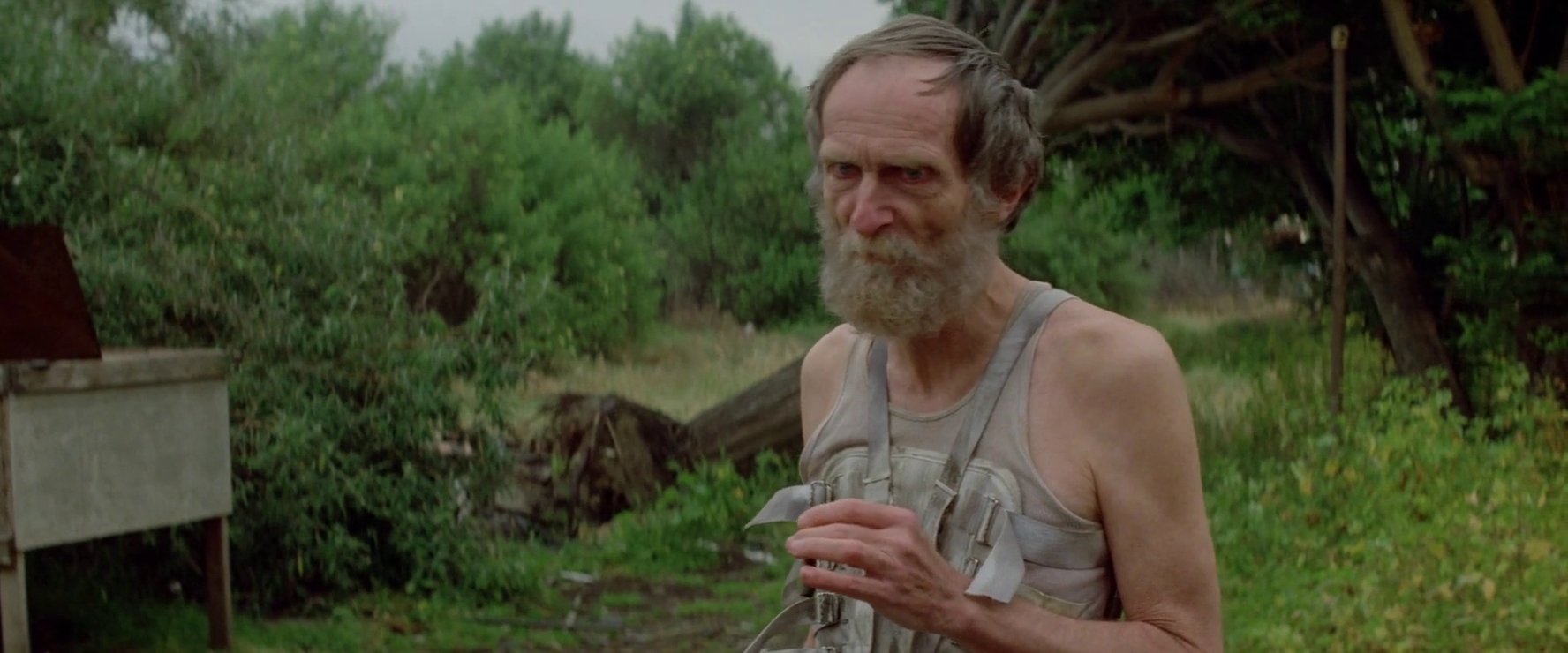 Roberts Blossom