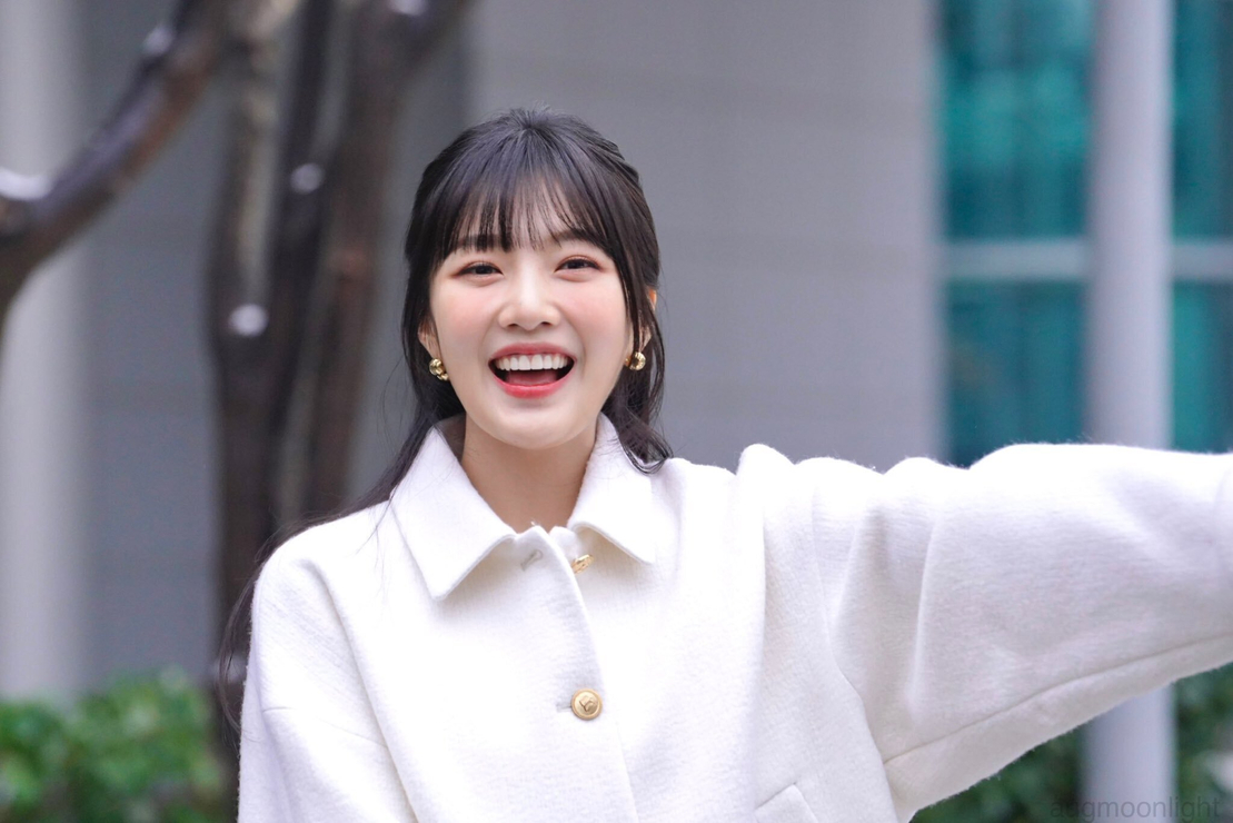 Image of Joy (Park Soo Young)