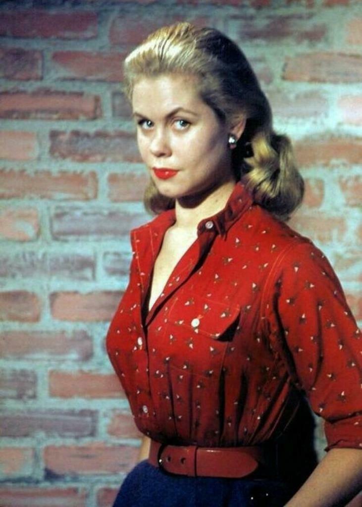 Picture of Elizabeth Montgomery