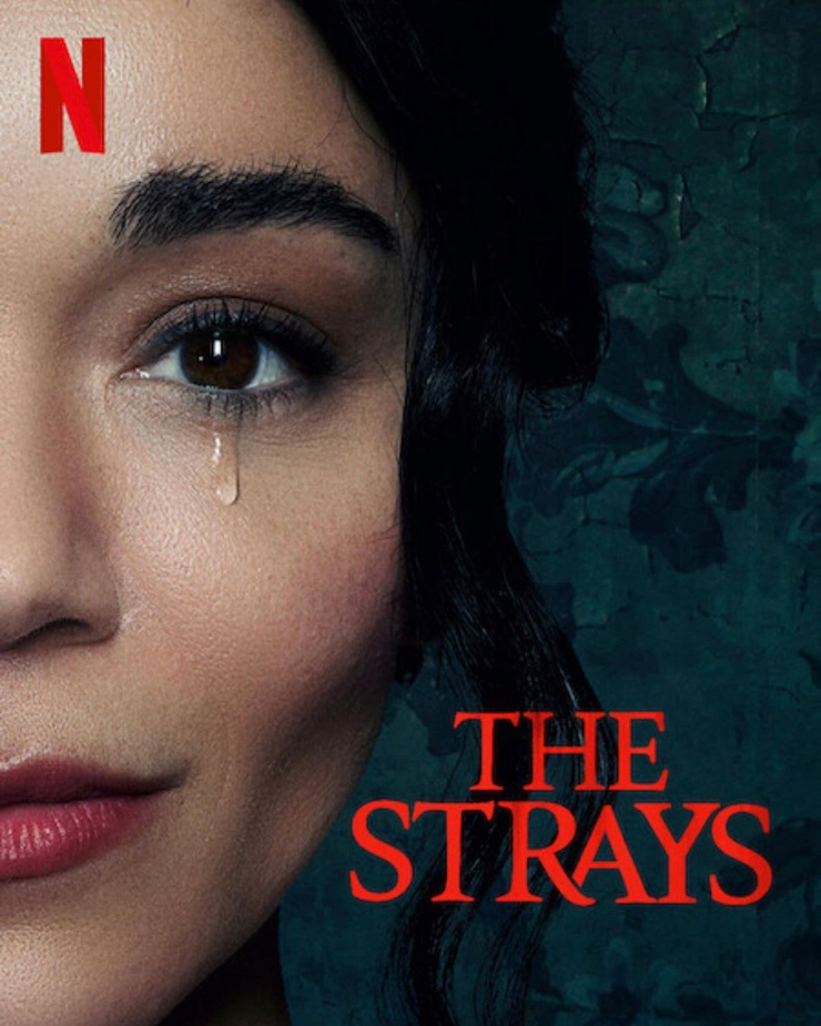 Picture of The Strays