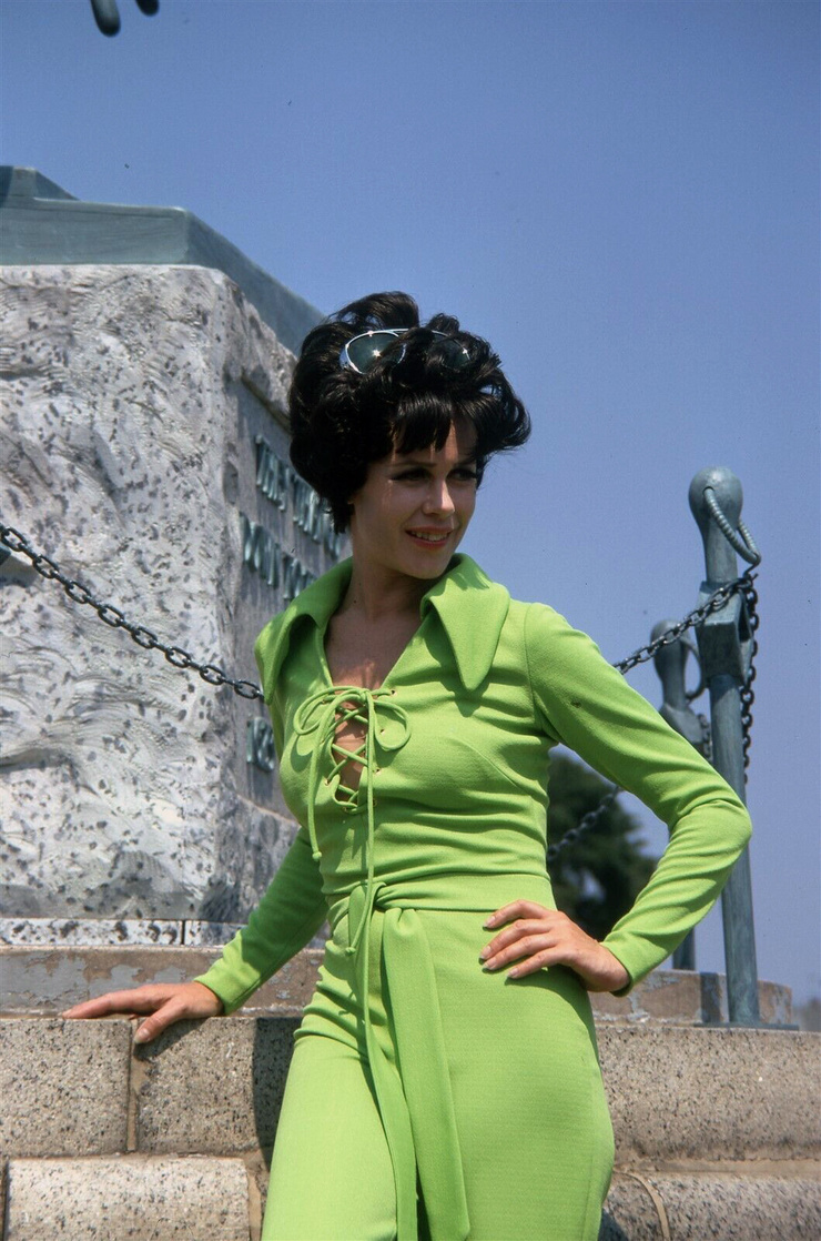 Picture of Elizabeth Montgomery