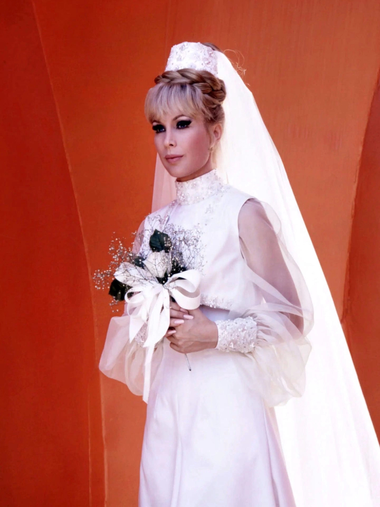 Picture of Barbara Eden