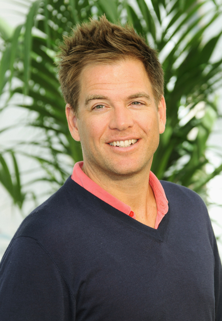 Michael Weatherly image