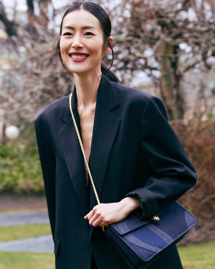 Picture of Liu Wen