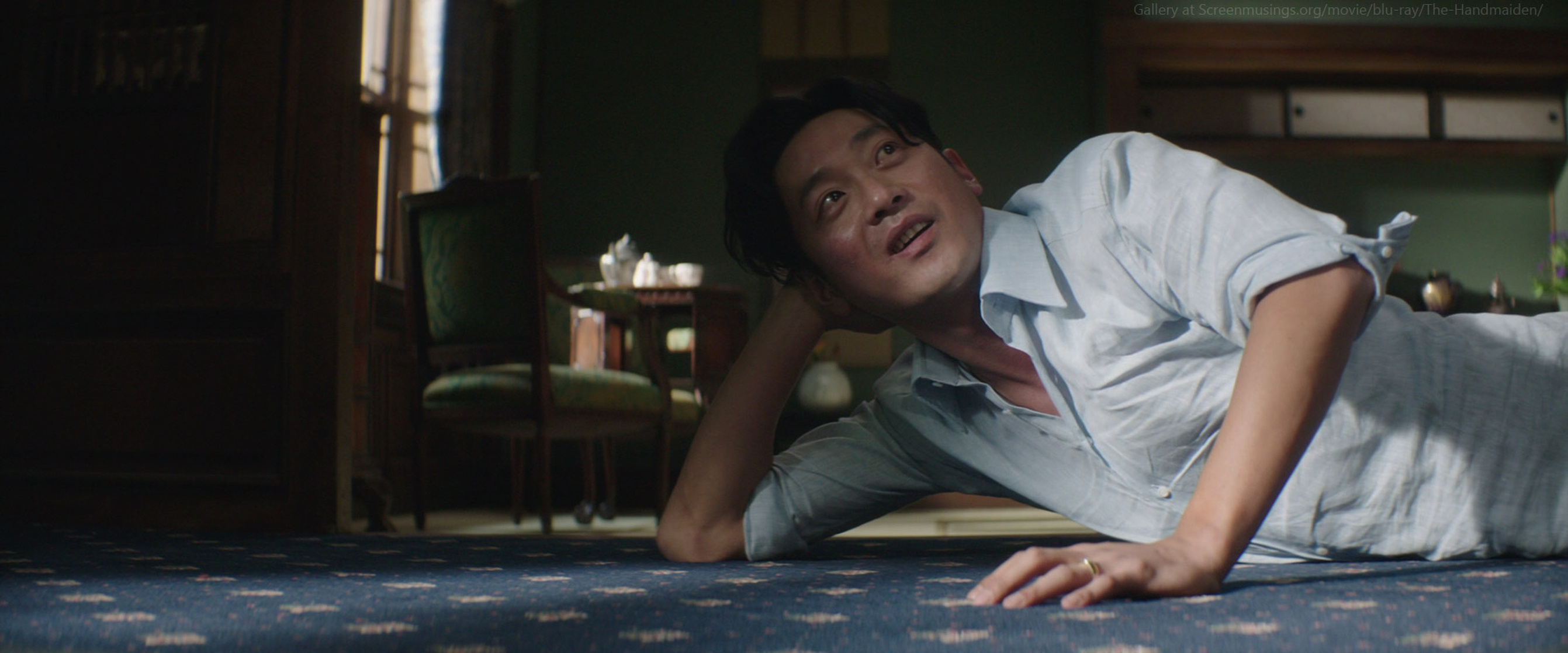 Picture of The Handmaiden