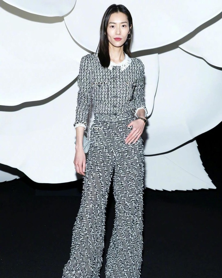 Image of Liu Wen