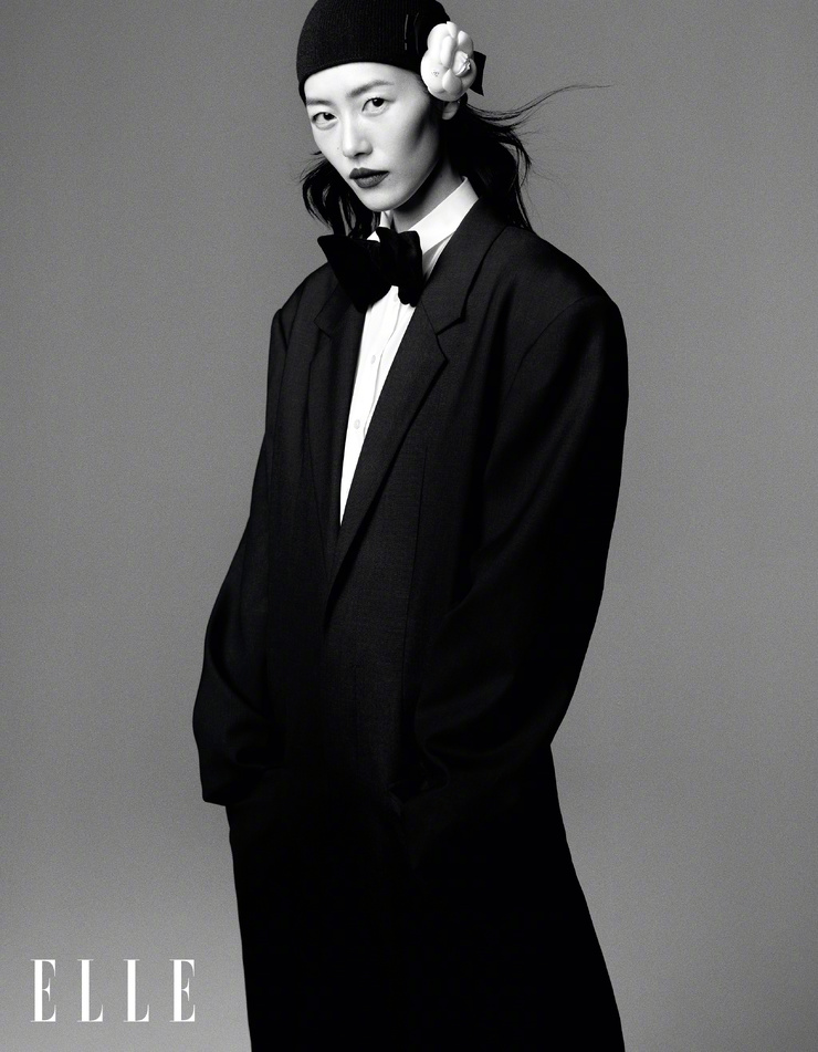 Image of Liu Wen