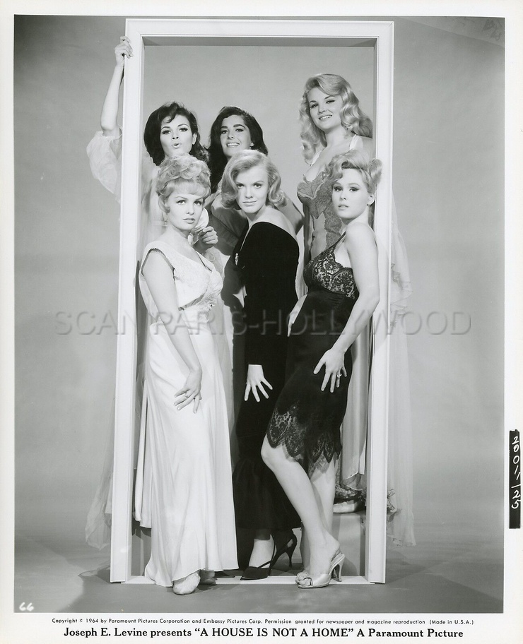 Picture of Francine Pyne