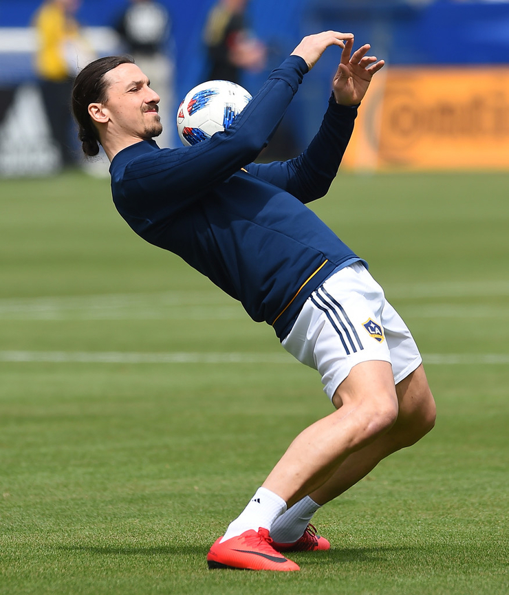 Zlatan Ibrahimovic picture