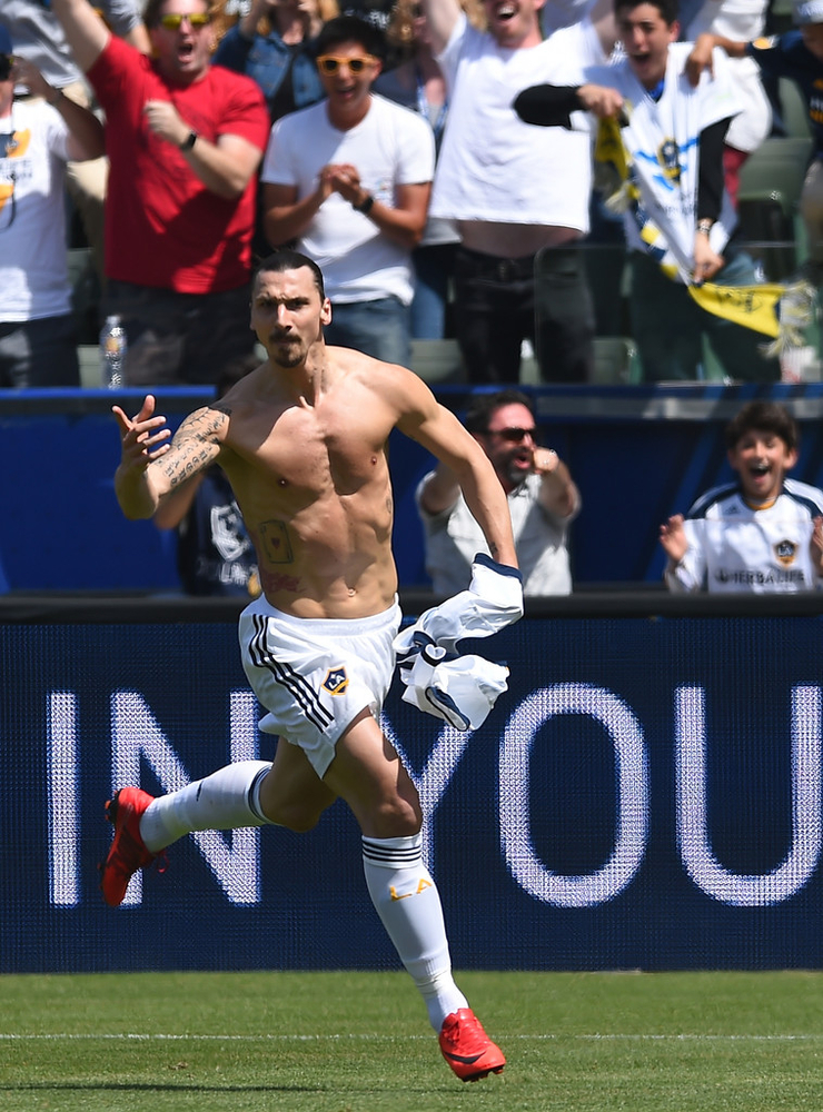 Zlatan Ibrahimovic picture