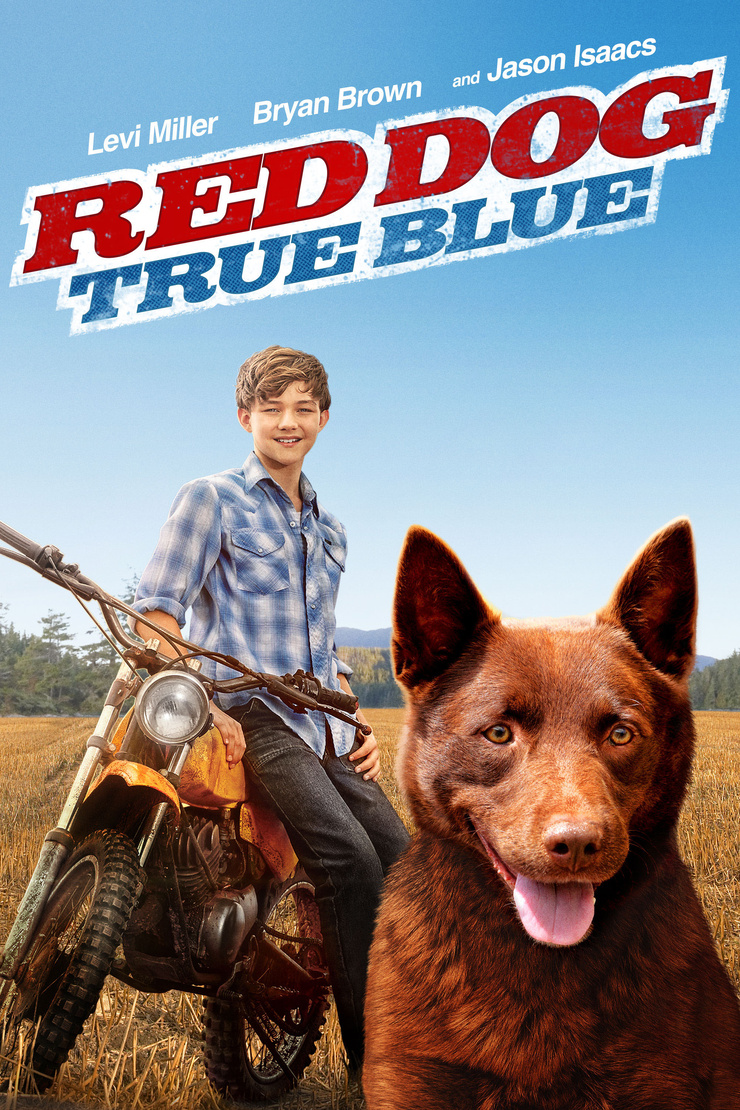 Picture of Red Dog: True Blue