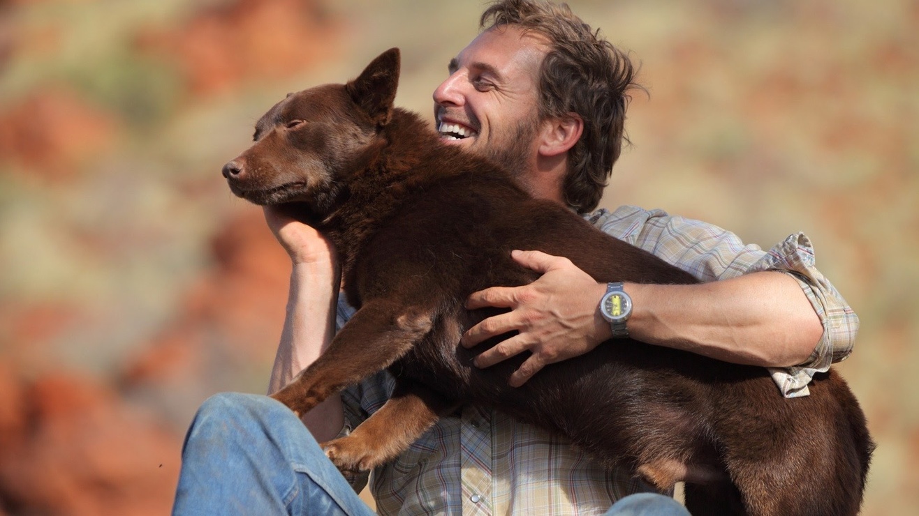 Picture of Red Dog: True Blue