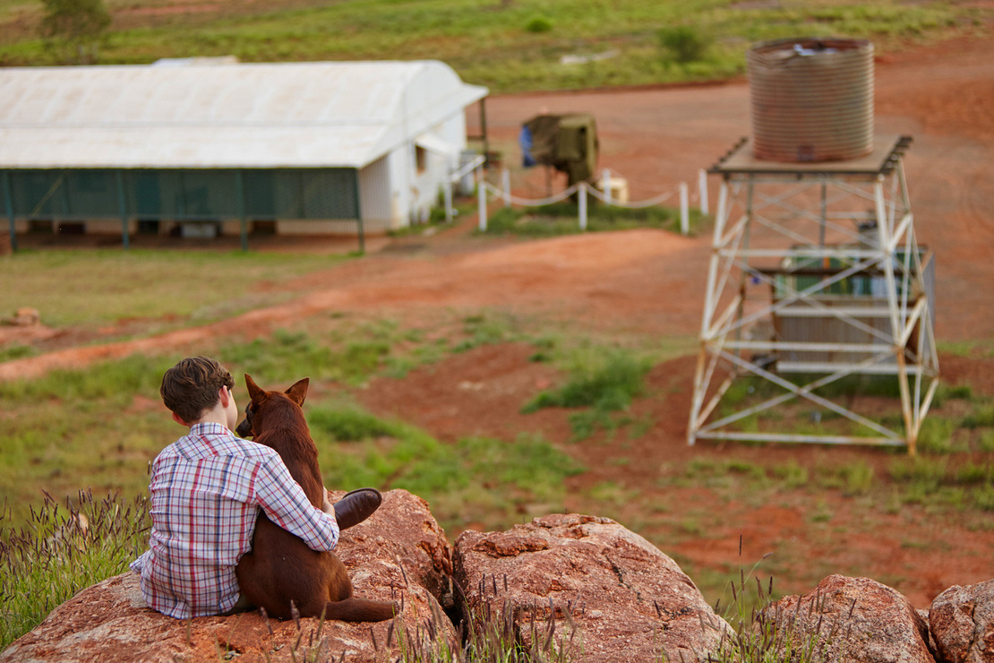 Picture of Red Dog: True Blue