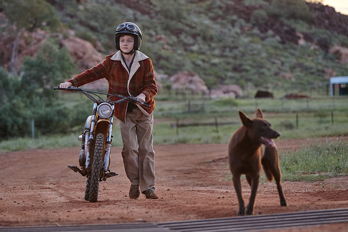 Picture of Red Dog: True Blue