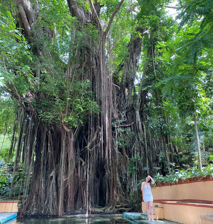 Picture of Jackie Rice