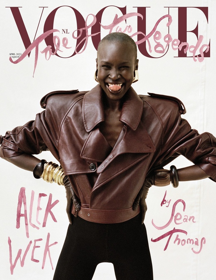 Picture of Alek Wek