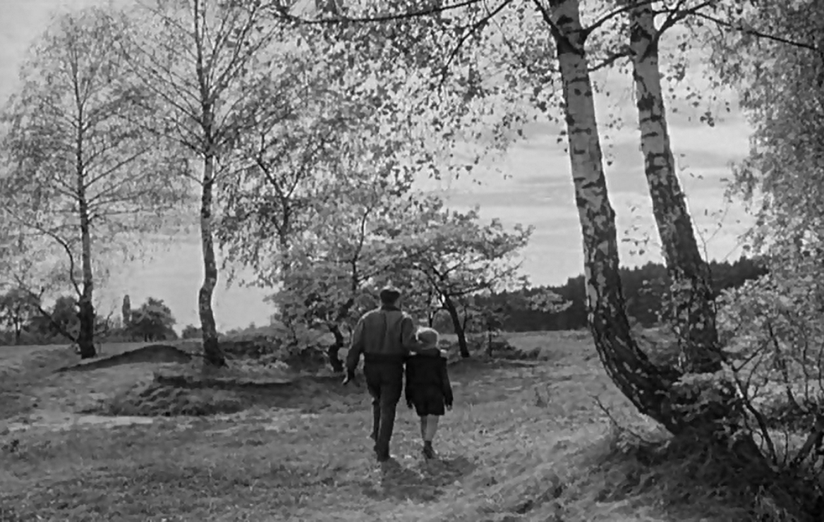 Picture of The Search