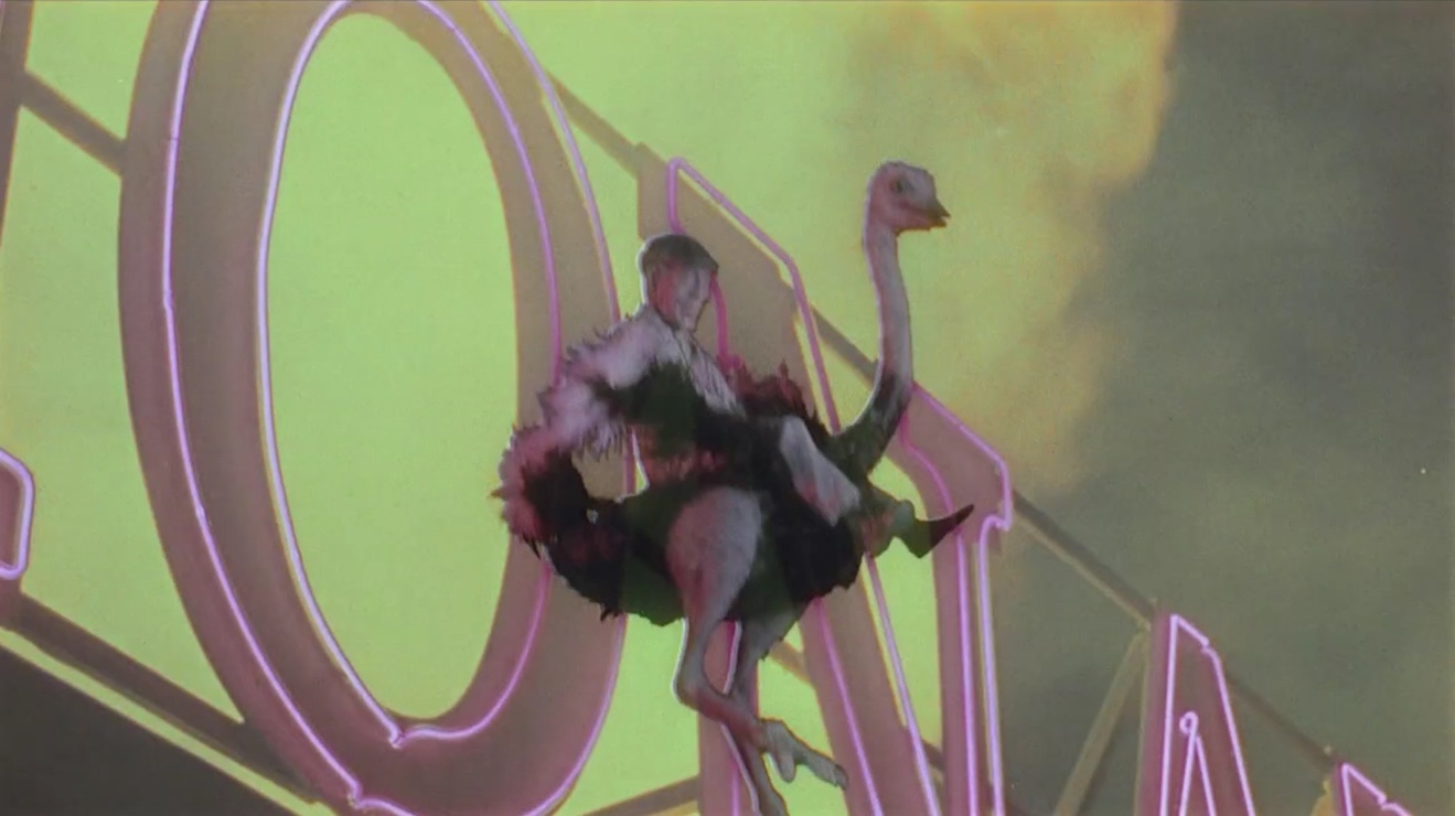 Picture of Leonard Part 6 (1987)