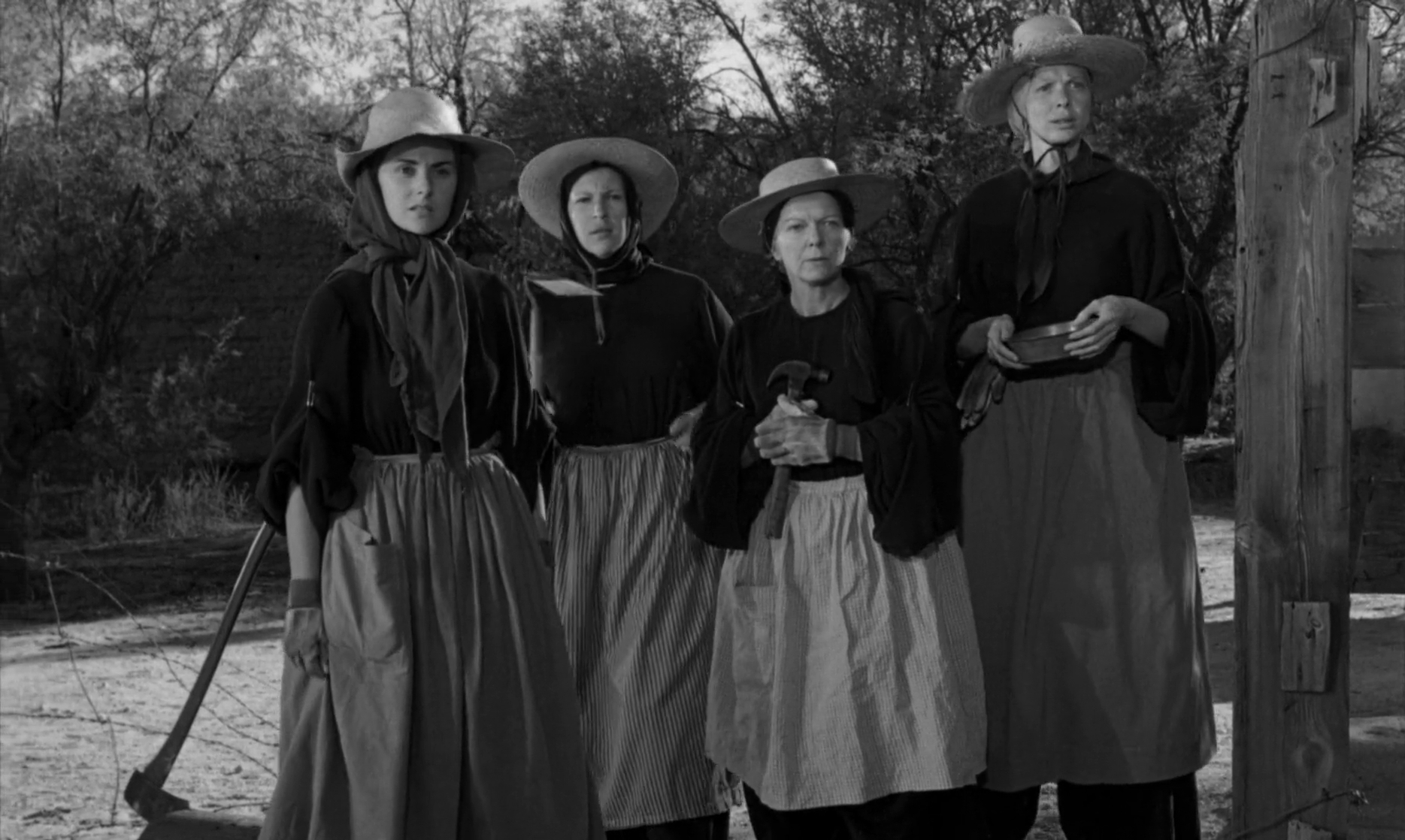 Picture of Lilies of the Field (1963)