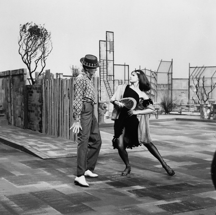 Barrie Chase picture