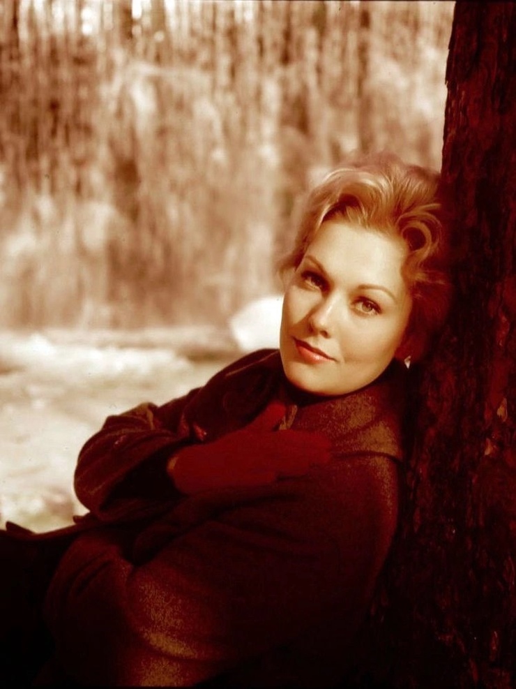 Picture of Kim Novak